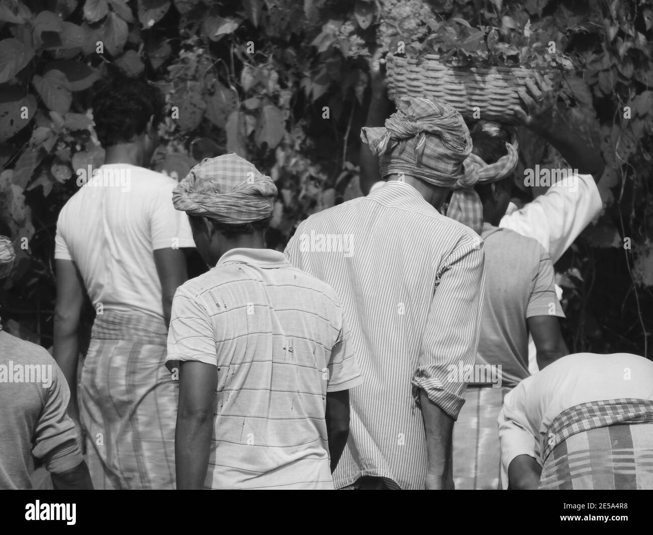 Daily basis Black and White Stock Photos & Images - Alamy