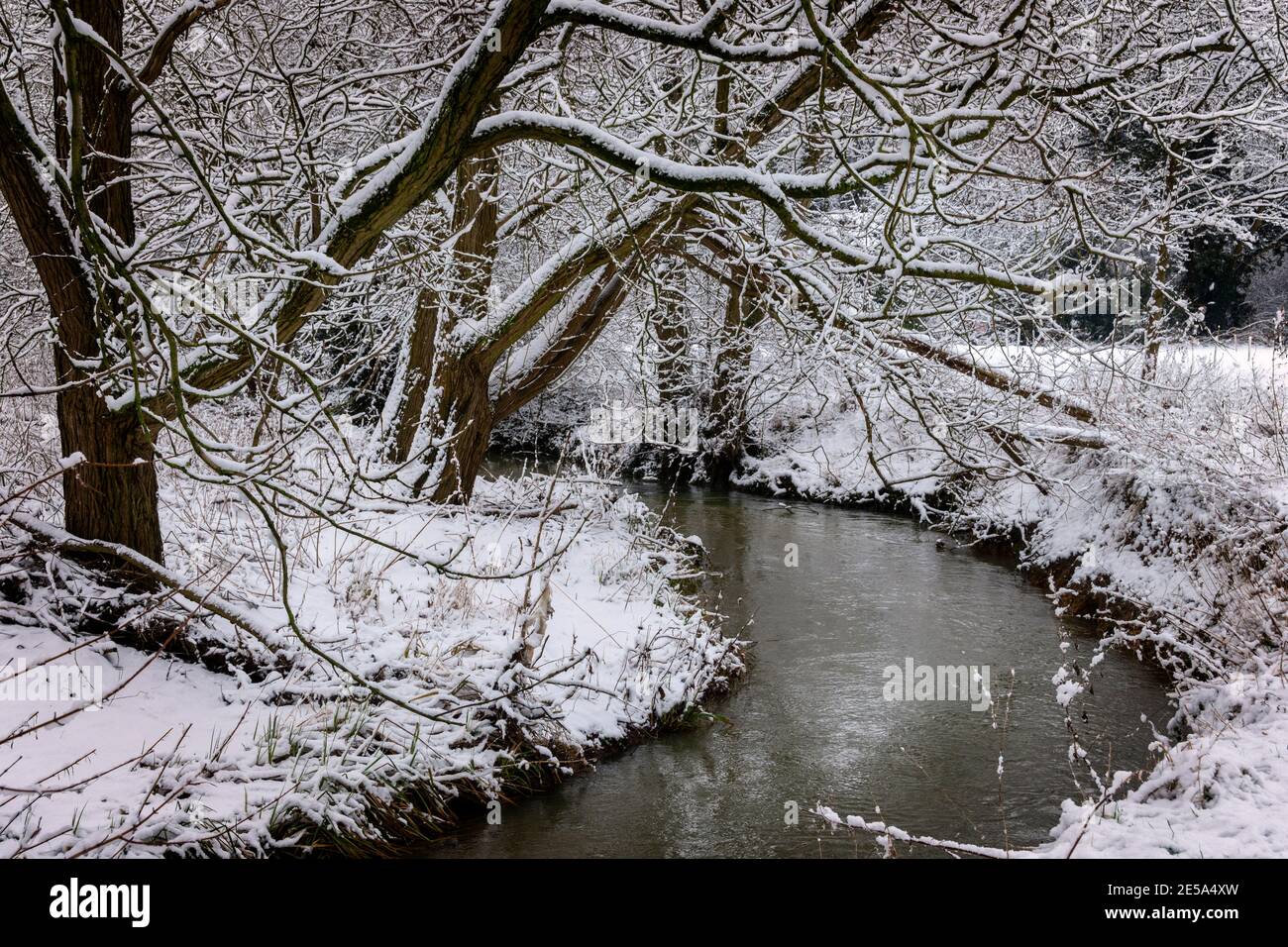 Children in snow wildlife hi-res stock photography and images - Alamy
