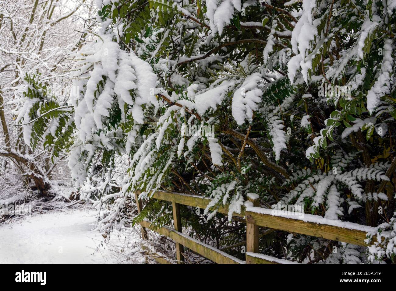 A river scene in the winter snow Stock Photo - Alamy