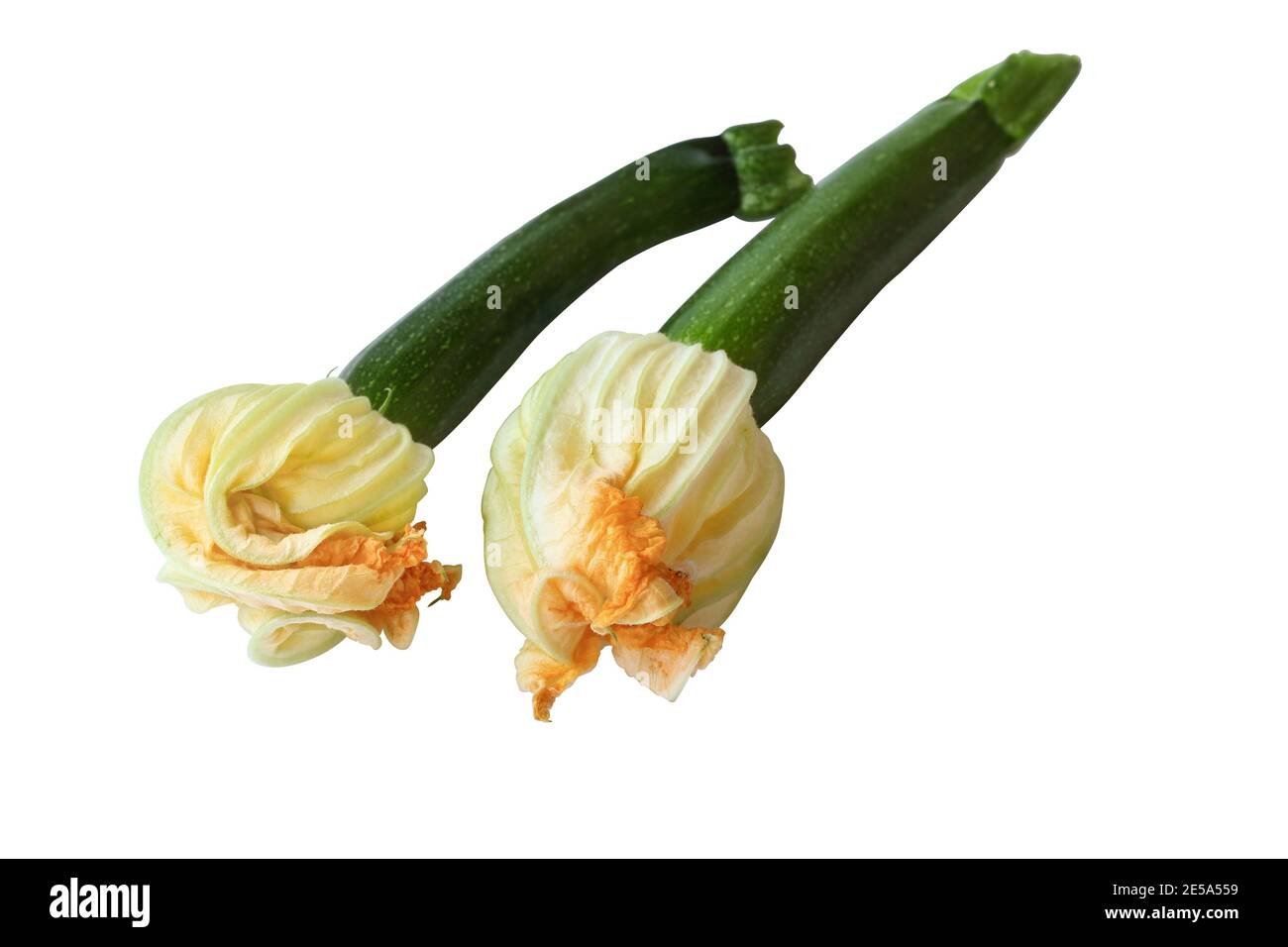 Baby squash hi-res stock photography and images - Alamy