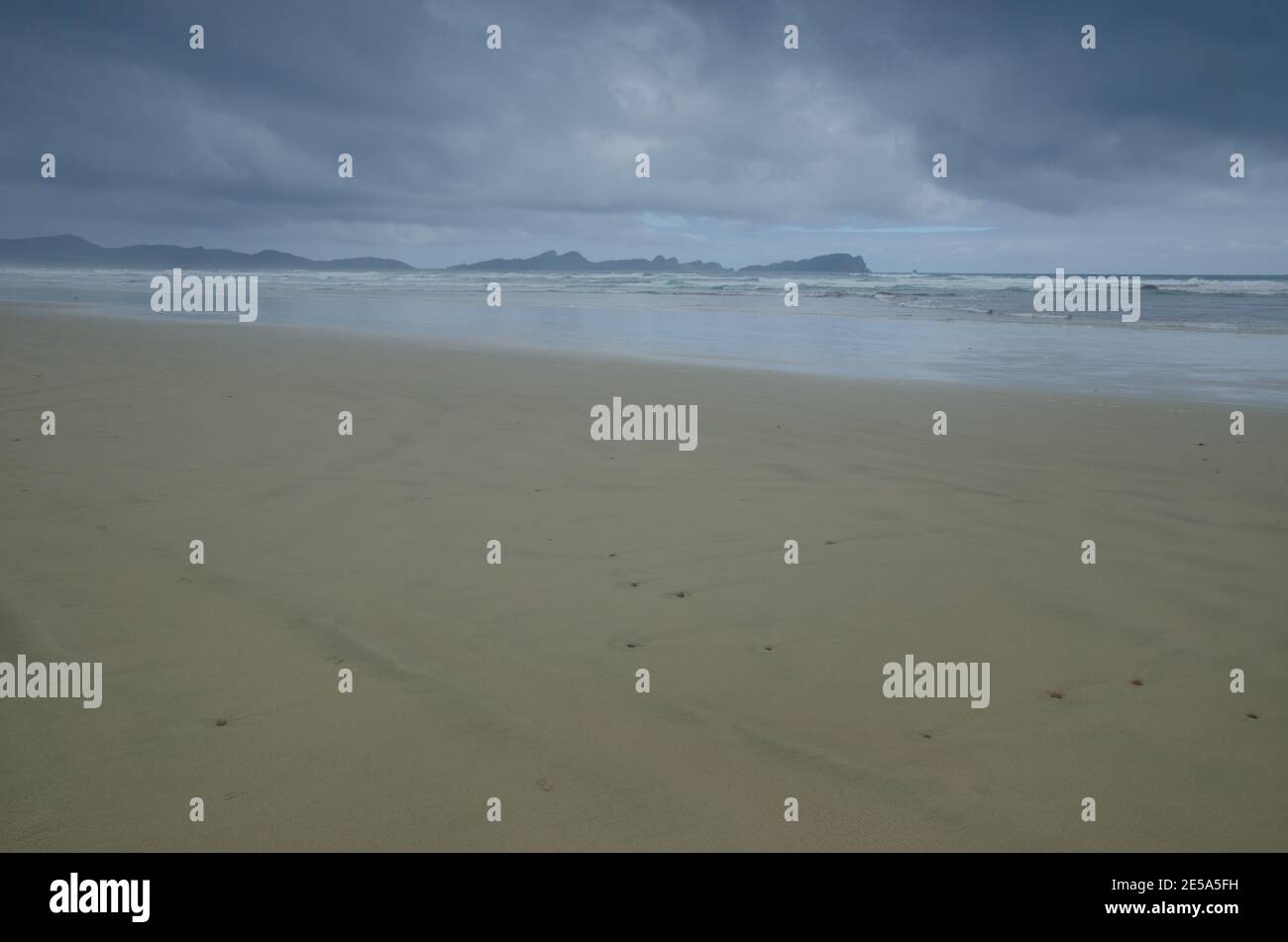 Beach in Mason Bay. Stewart Island. Rakiura National Park. New Zealand ...