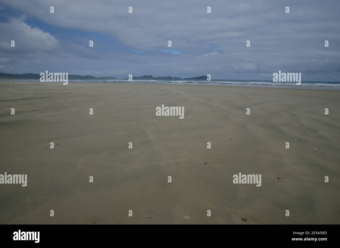 Beach in Mason Bay. Stewart Island. Rakiura National Park. New Zealand ...