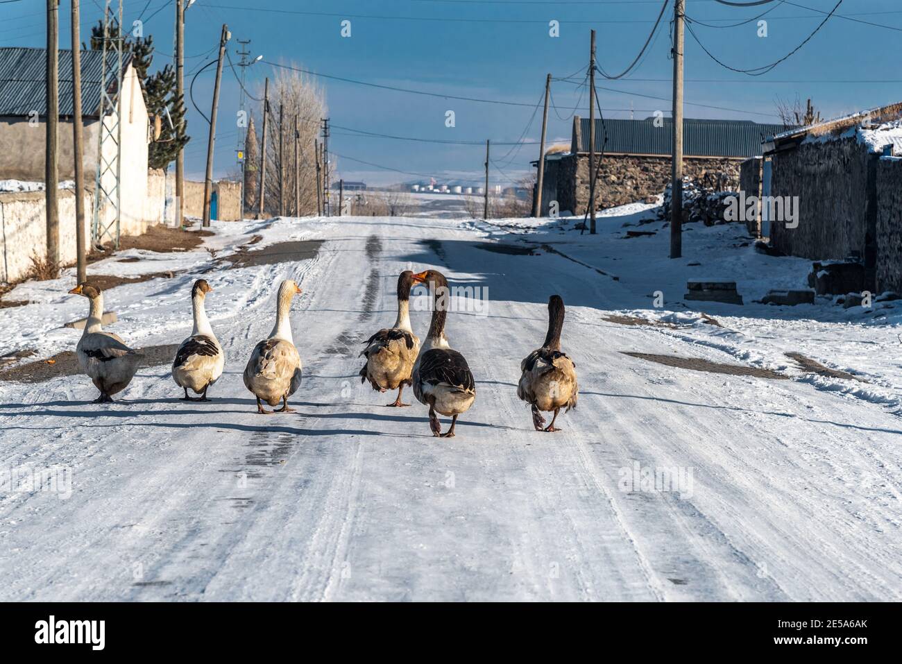 Kars snow hi-res stock photography and images - Alamy