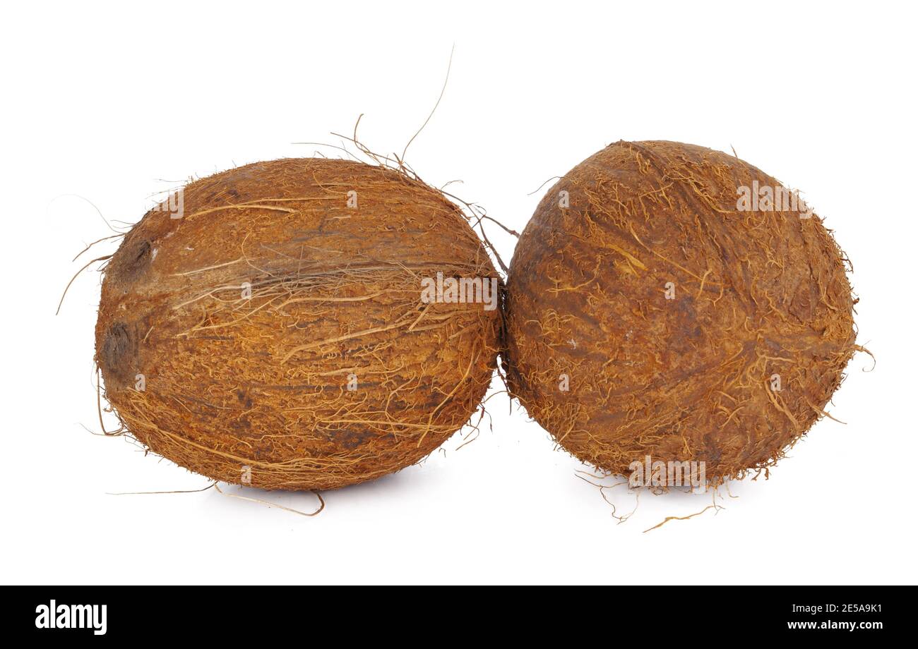 Whole coconut close up isolated on white background Stock Photo - Alamy