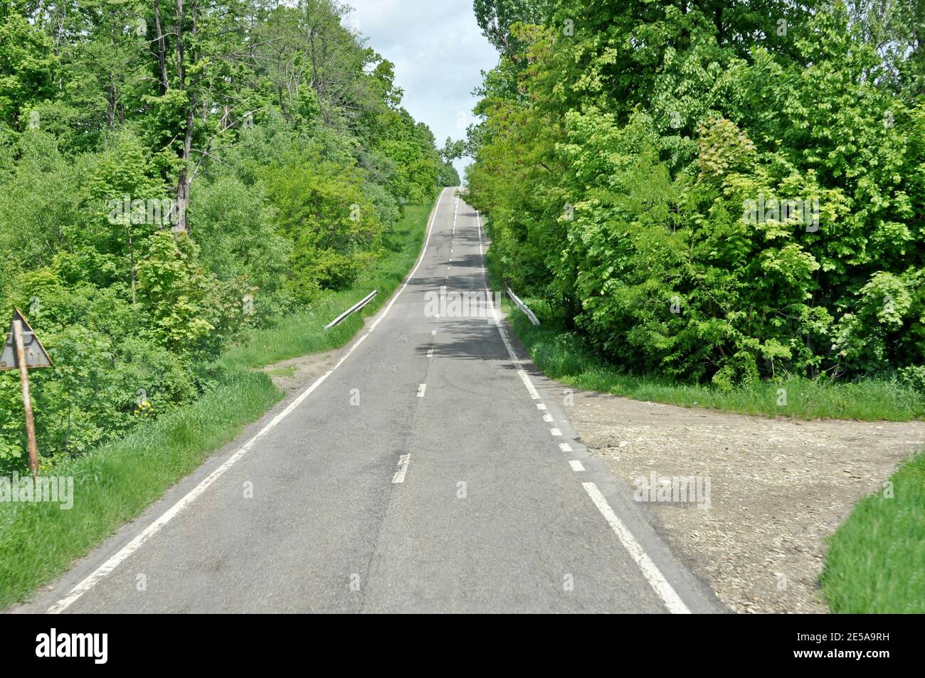 Front view of a straight road in the slope with trees on both sides ...