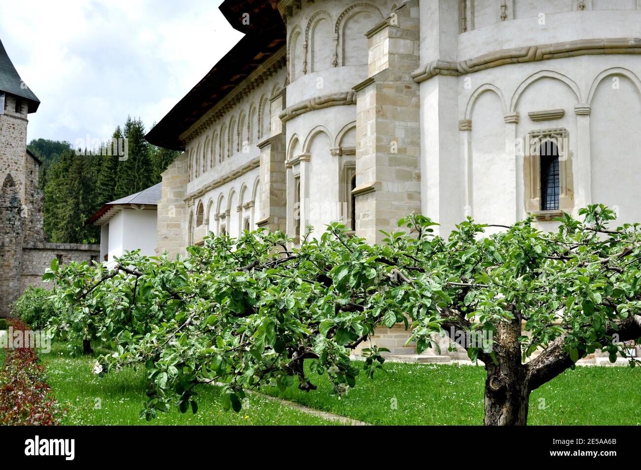Landscape of a side of a monastery with little trees in front Stock ...