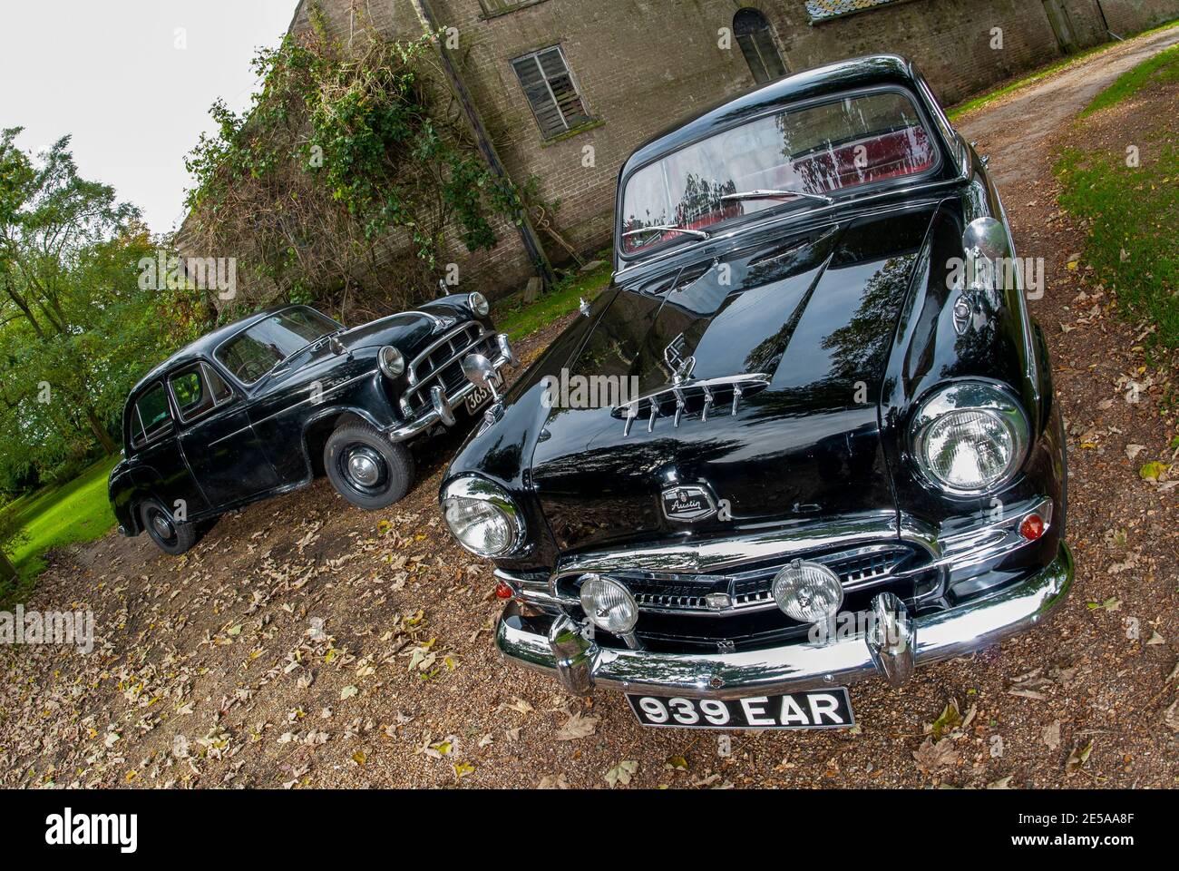 1958 Austin Westminster and 1955 Morris Isis classic British family ...