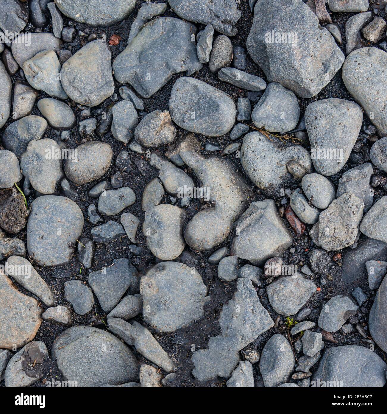 Round river pebbles as a background and texture, closeup, details Stock ...