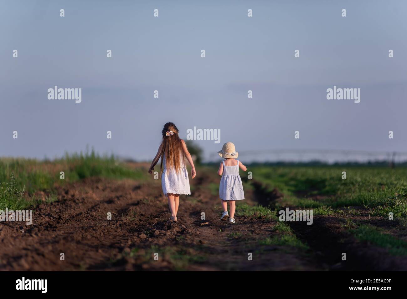 Two little girls in white sundresses are walking in the green field of ...