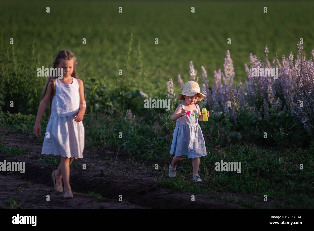 Two little girls in white sundresses are walking in the green field of ...