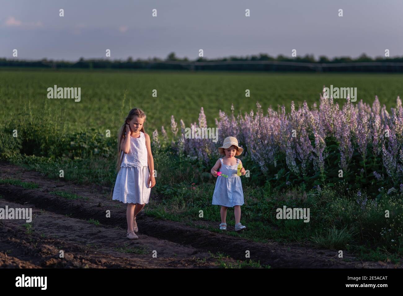 Two little girls in white sundresses are walking in the green field of ...
