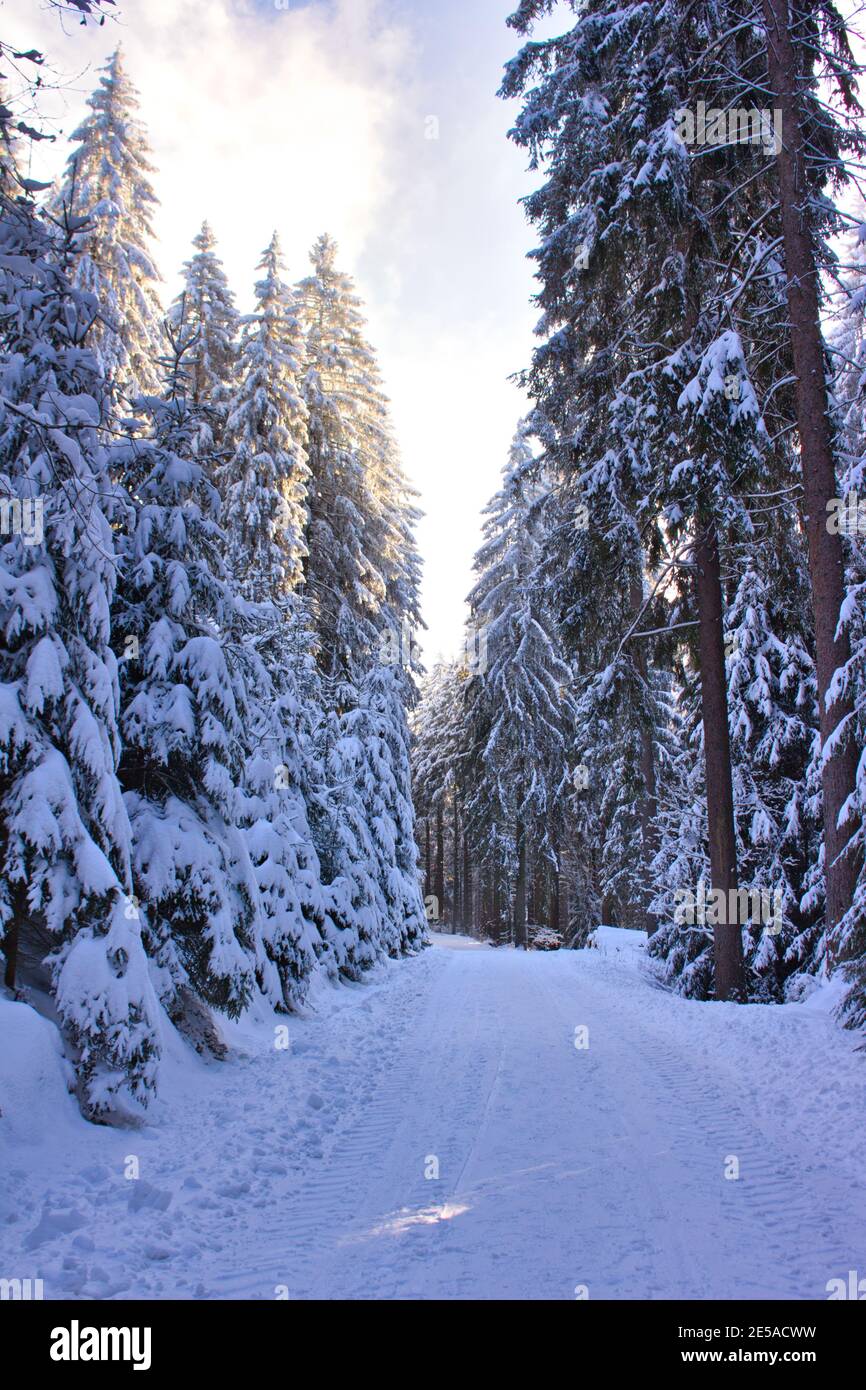 Snow covered path through tranquil hi-res stock photography and images ...