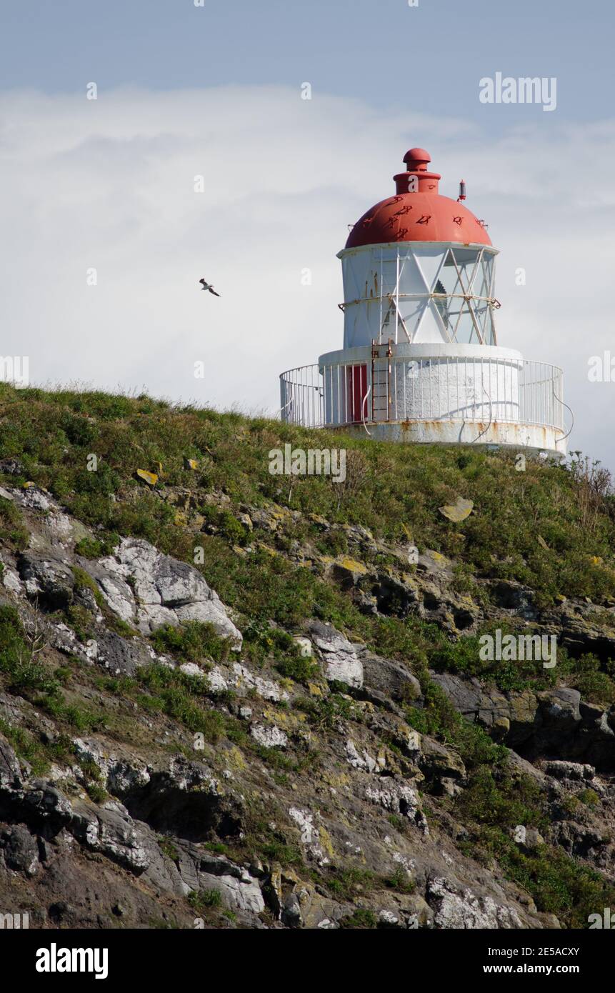 Lighthouse in Taiaroa Head Wildlife Reserve. Otago Peninsula. Otago ...