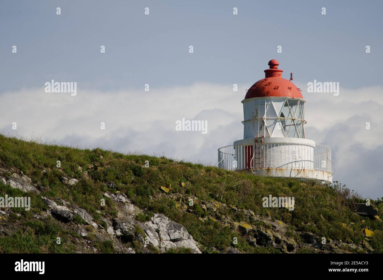 Lighthouse in Taiaroa Head Wildlife Reserve. Otago Peninsula. Otago ...