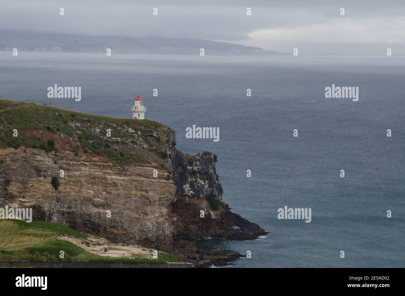 Cliff and lighthouse in Taiaroa Head Wildlife Reserve. Otago Peninsula ...