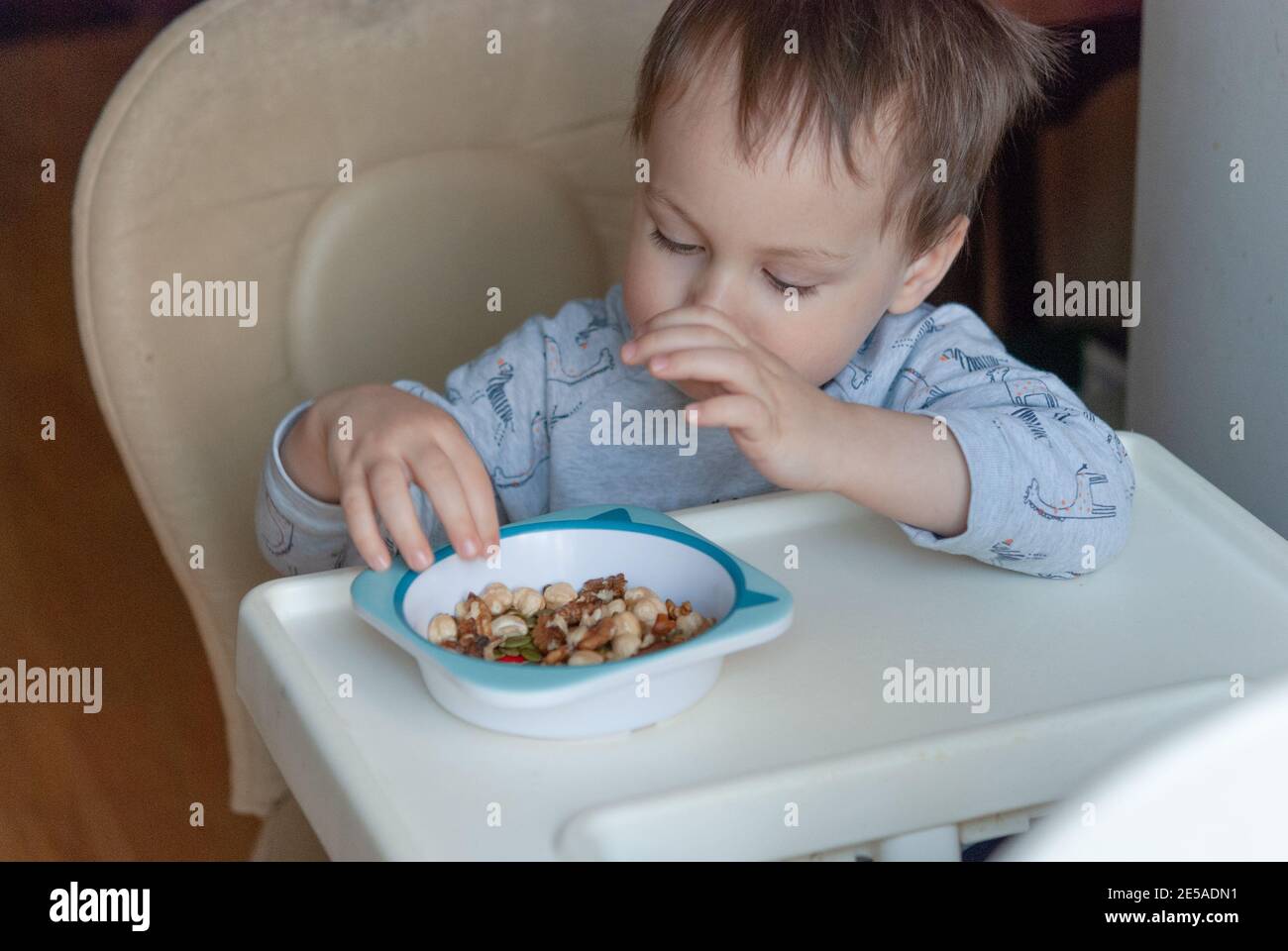 The toddler eats raw nuts from the children's plate with his hands ...