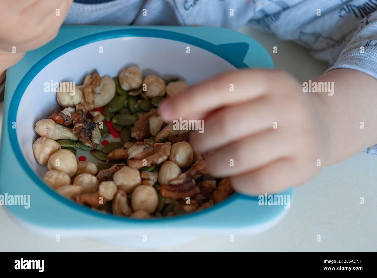 The toddler eats raw nuts from the children's plate with his hands ...