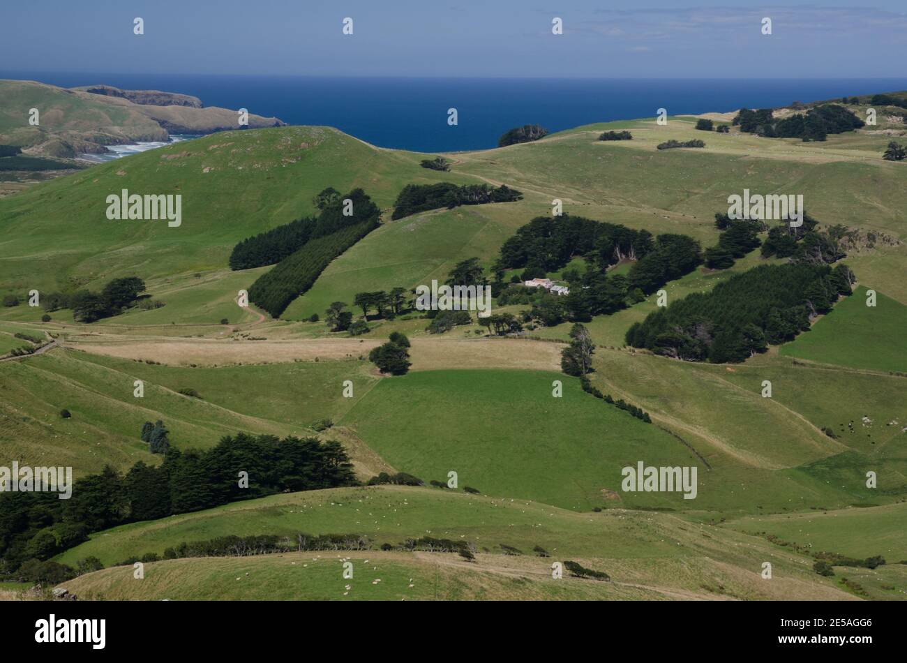 Landscape in Otago Peninsula. Otago. South Island. New Zealand Stock ...