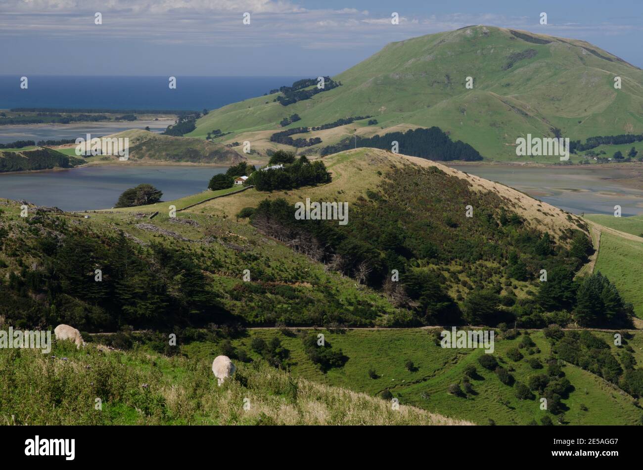 Landscape in Otago Peninsula. Otago. South Island. New Zealand Stock ...