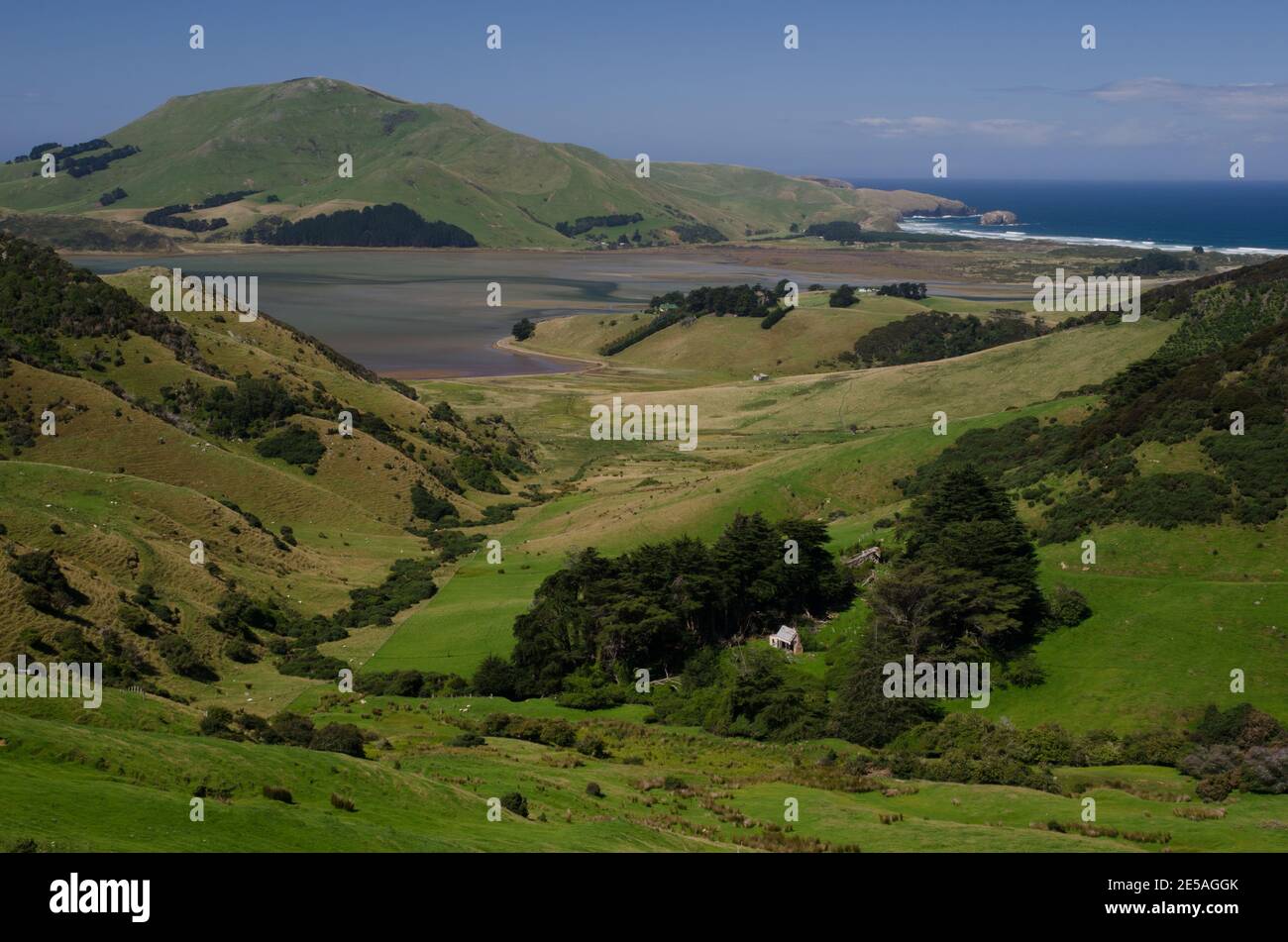 Landscape in Otago Peninsula. Otago. South Island. New Zealand Stock ...