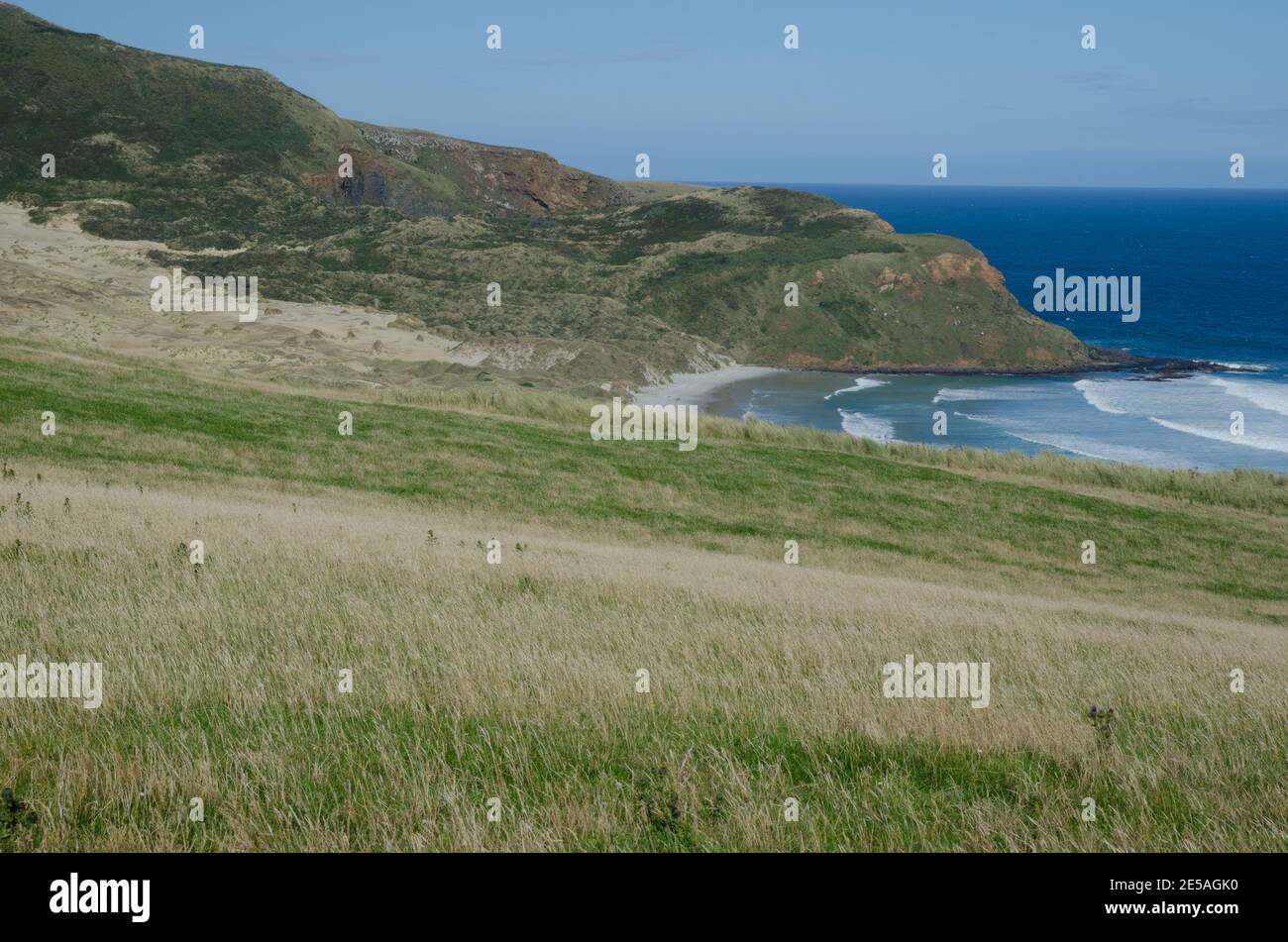Landscape in Sandfly Bay. Sandfly Bay Wildlife Refuge. Otago Peninsula ...