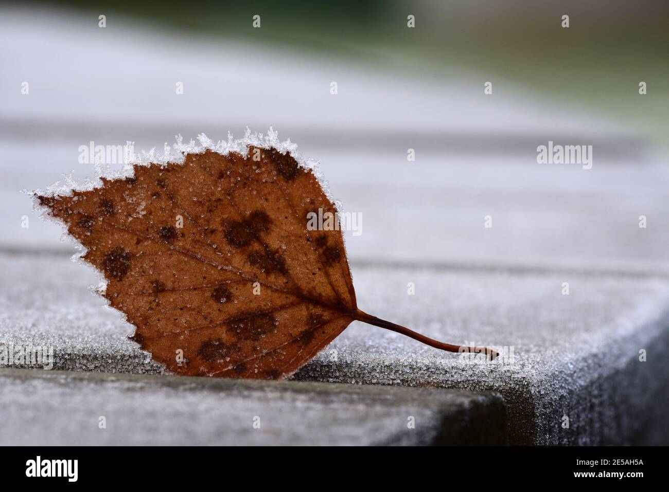 Frozen particles hi-res stock photography and images - Alamy