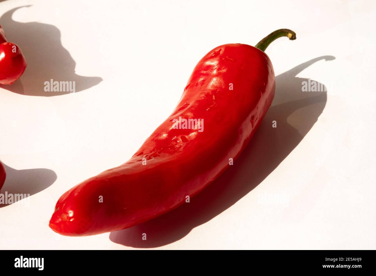 STILL LIFE OF RED INDIAN PEPPER Stock Photo - Alamy