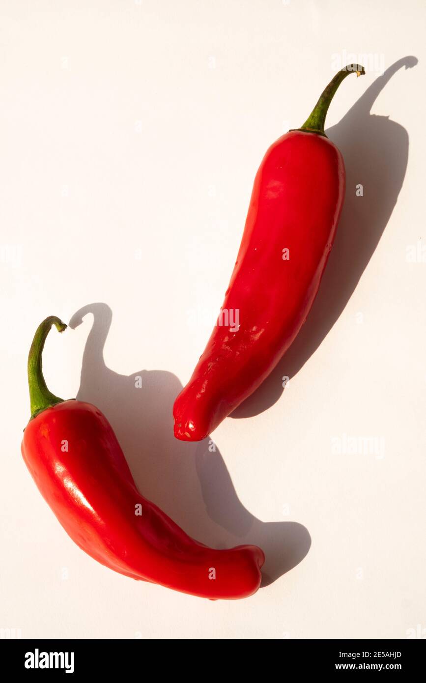 STILL LIFE OF RED INDIAN PEPPER Stock Photo - Alamy
