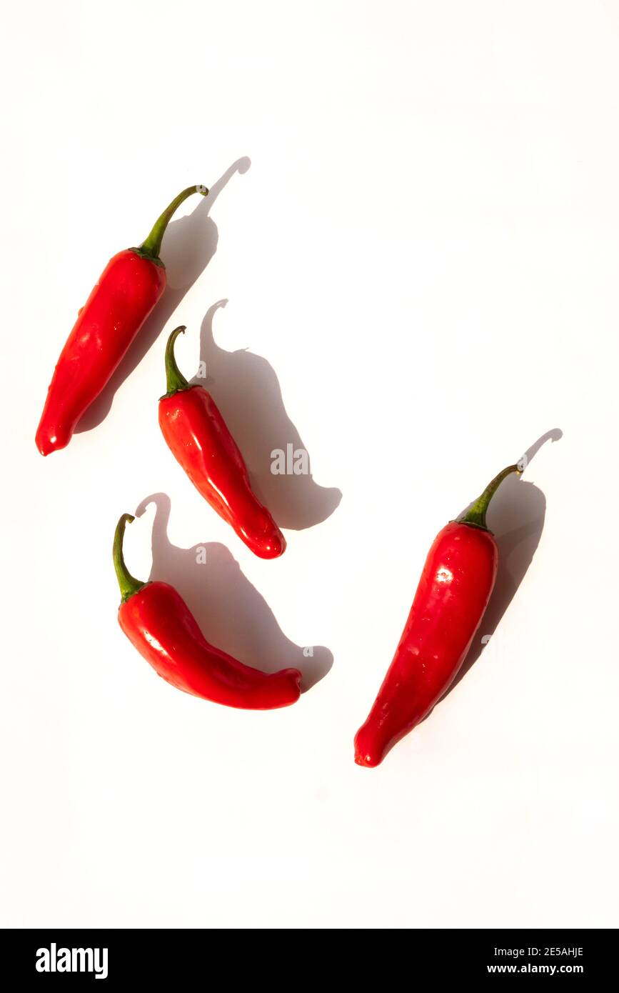 STILL LIFE OF RED INDIAN PEPPER Stock Photo - Alamy