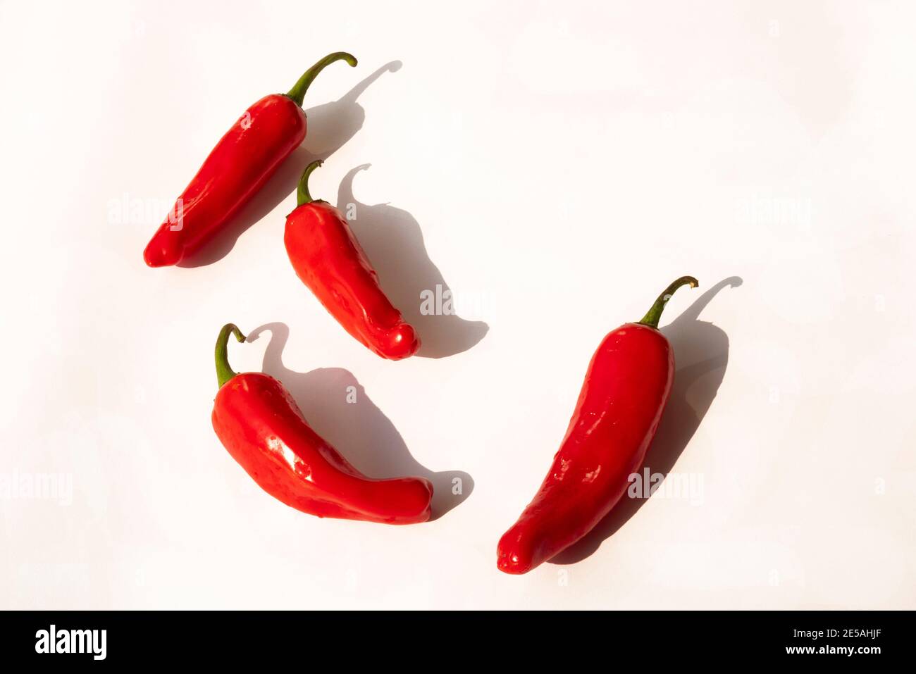 STILL LIFE OF RED INDIAN PEPPER Stock Photo - Alamy