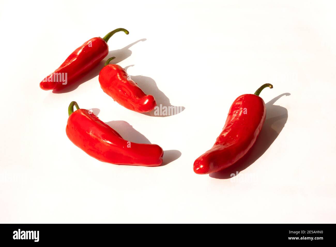 STILL LIFE OF RED INDIAN PEPPER Stock Photo - Alamy