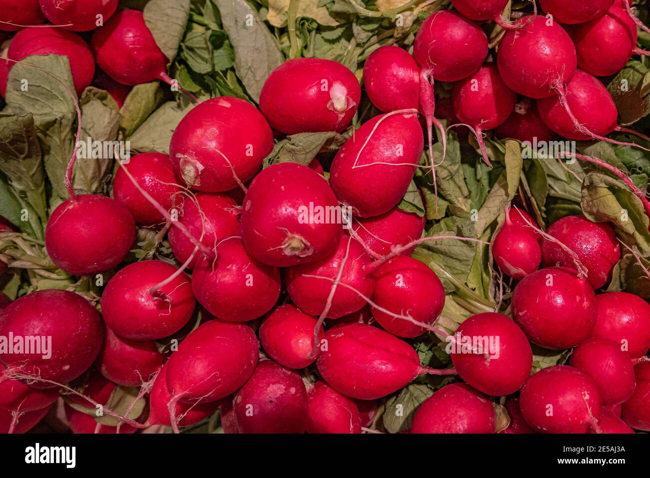 Banner with background as fresh red radish sold in a supermarket ...