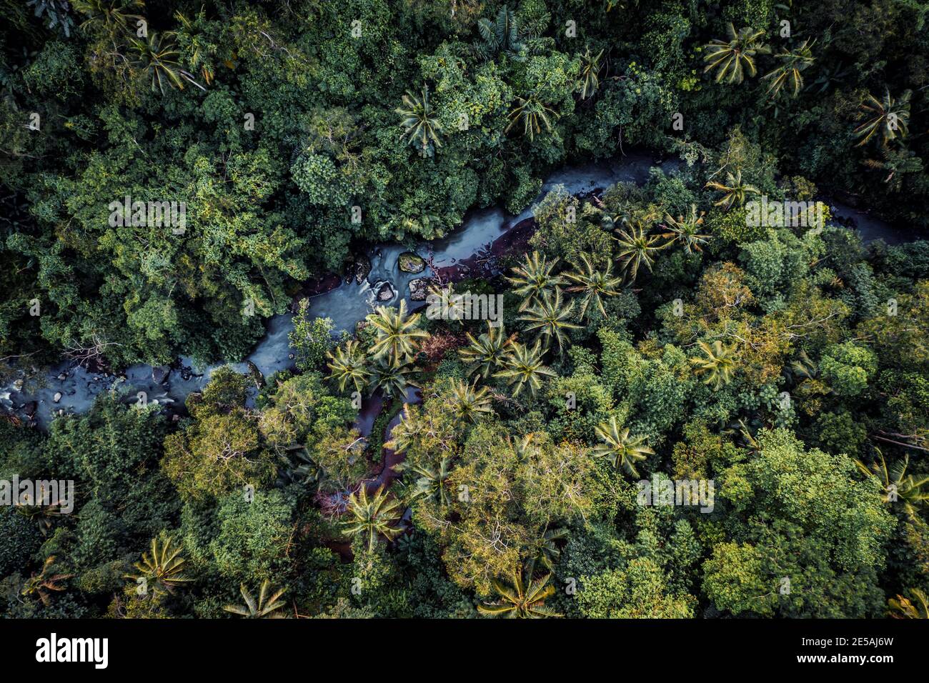 River curving through the Bali rain forest from above captured by drone ...