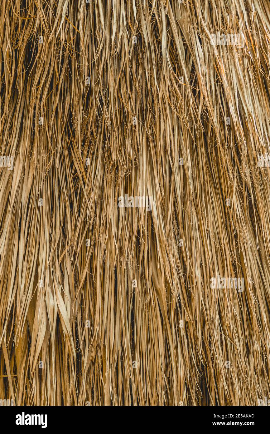Straw closeup for texture or background Stock Photo - Alamy
