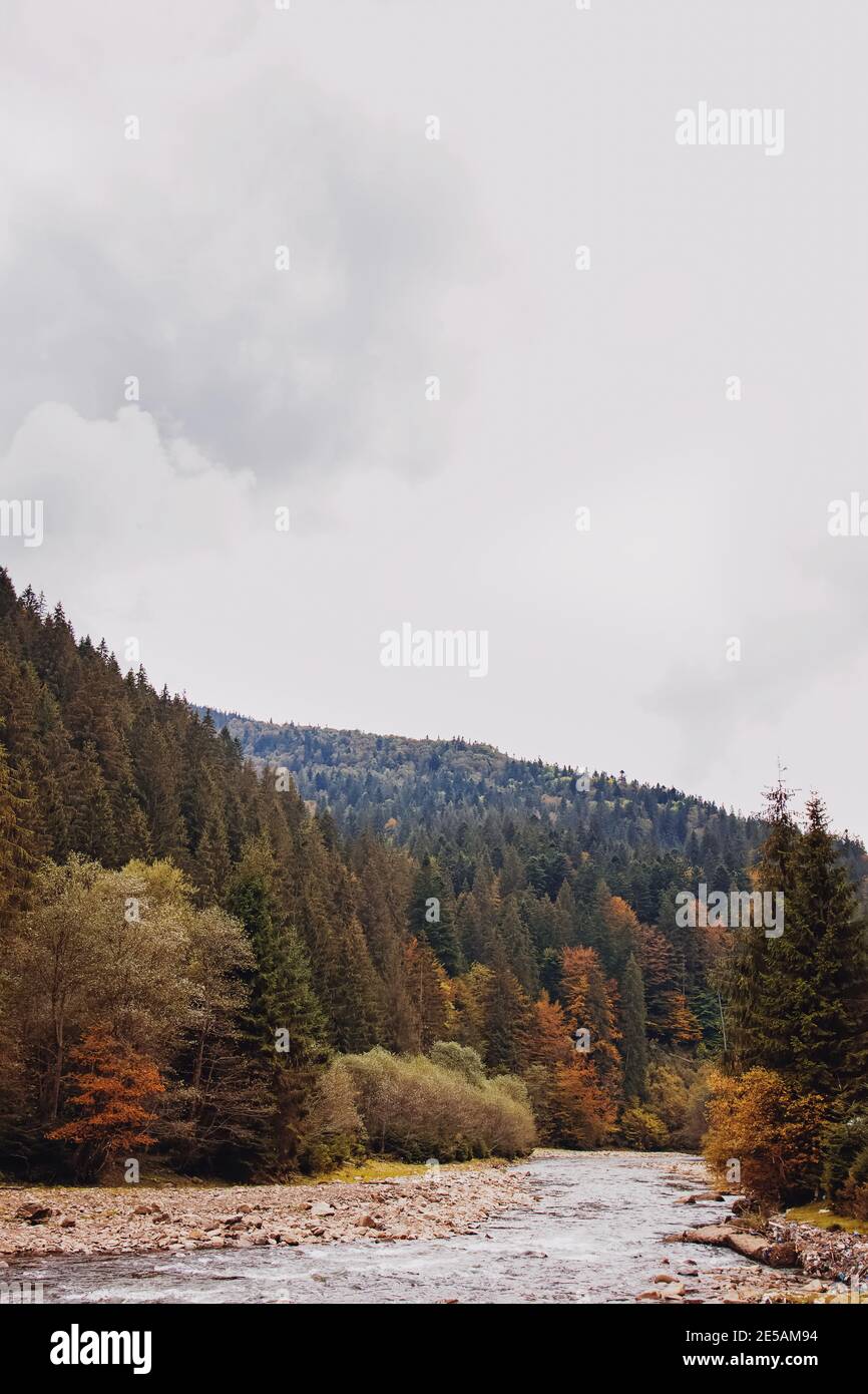Forest scene river mountains hi-res stock photography and images - Alamy