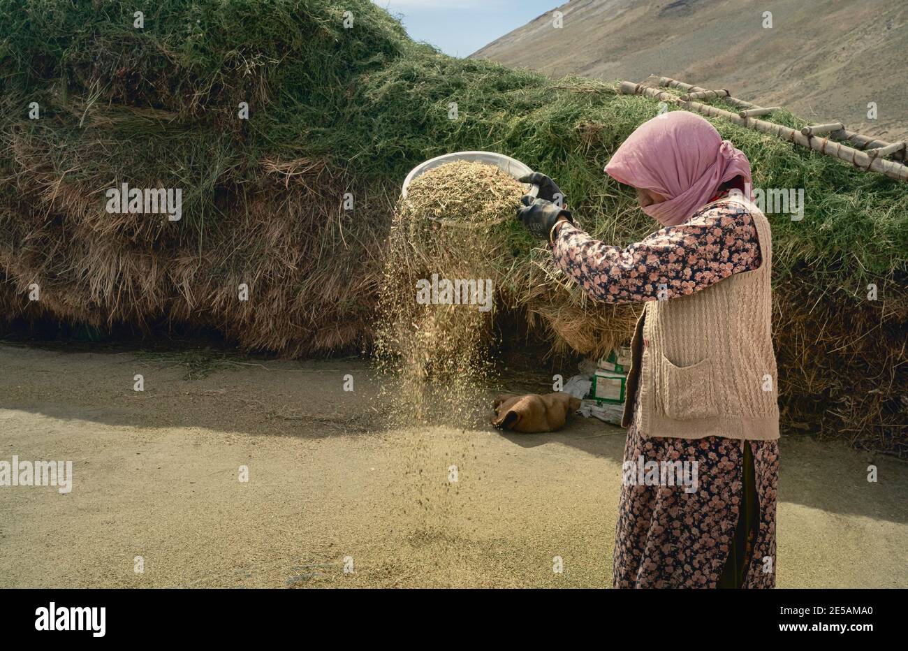 Traditional winnowing hi-res stock photography and images - Alamy