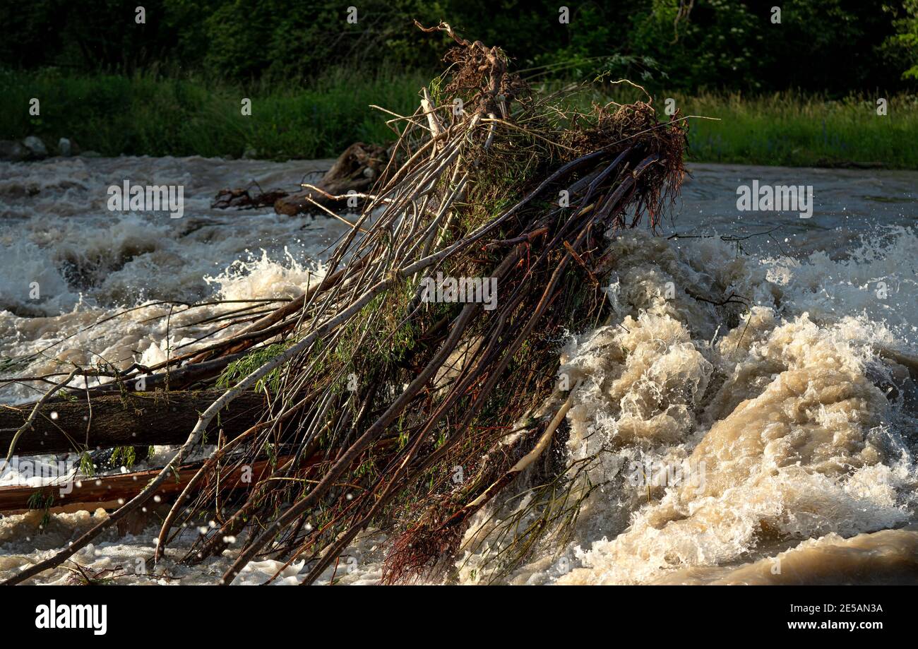 Dirty Flood Water