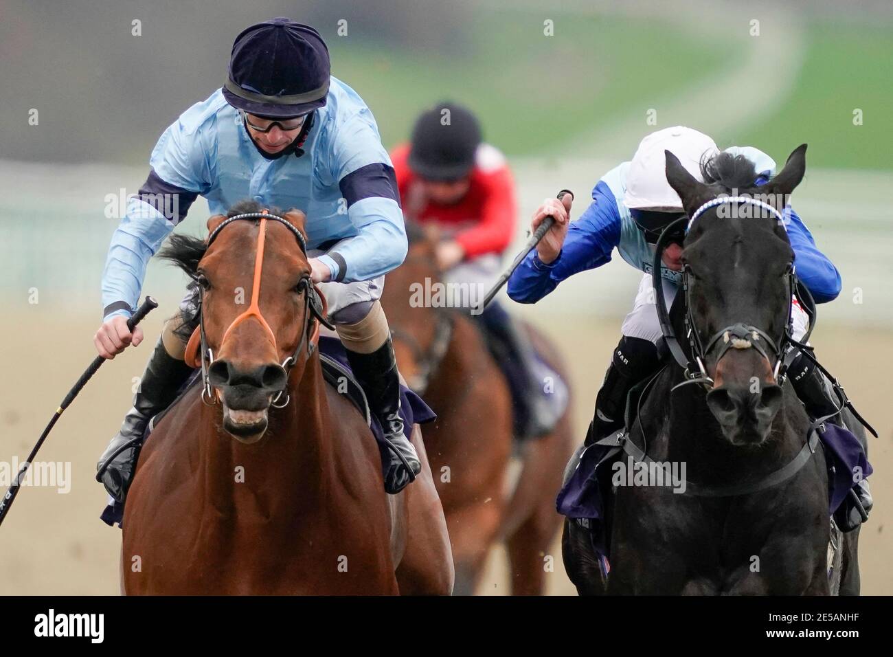 Jockey robert havlin hi-res stock photography and images - Alamy