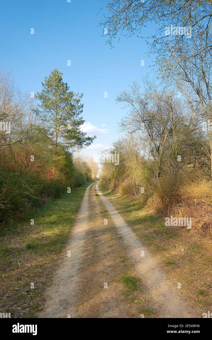 Springtime track hi-res stock photography and images - Alamy