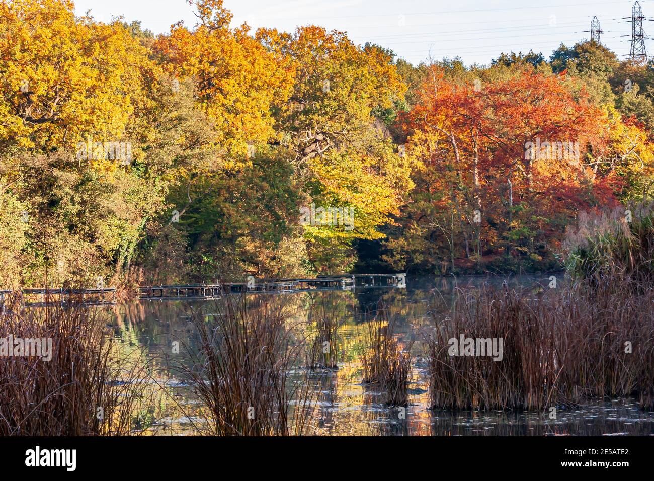 The beautiful autumn colours in England Stock Photo - Alamy