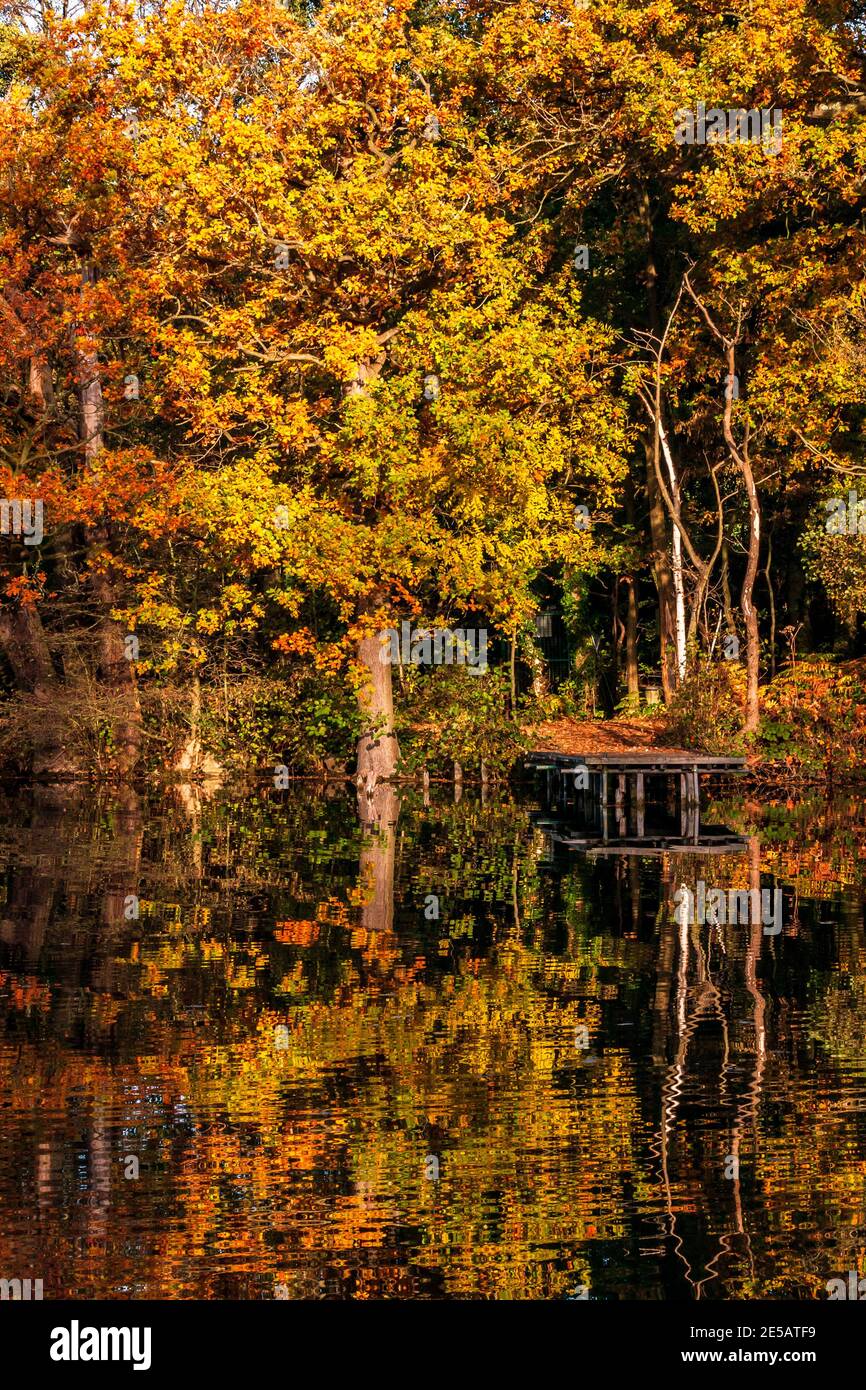 The beautiful autumn colours in England Stock Photo - Alamy