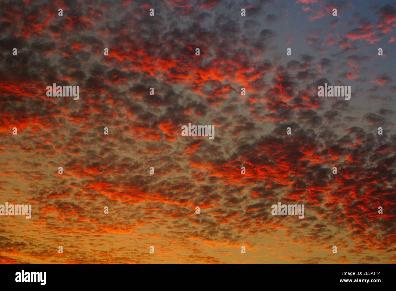 Beautiful bloody red skyline at sundown with different patterns for ...