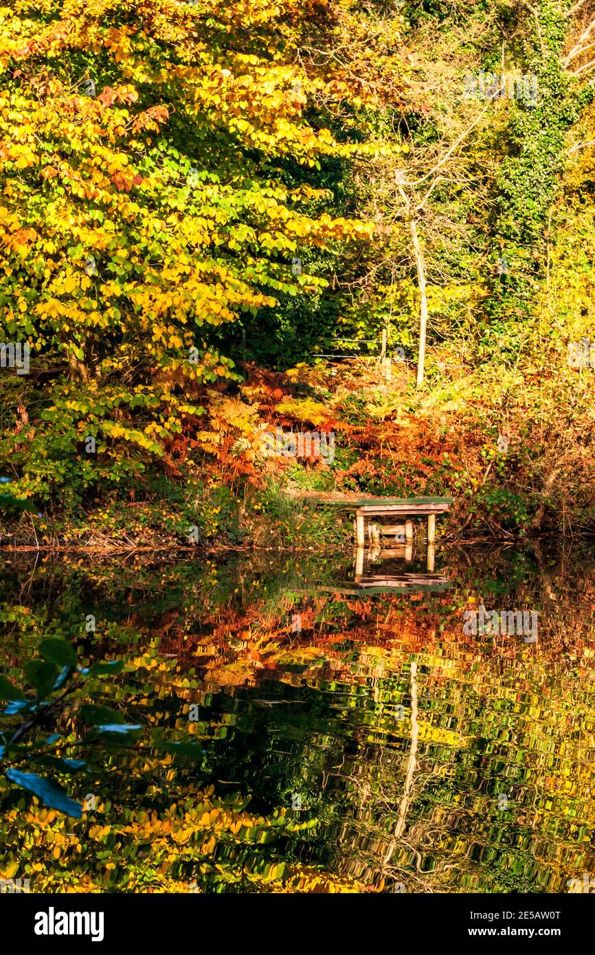 The beautiful autumn colours in England Stock Photo - Alamy