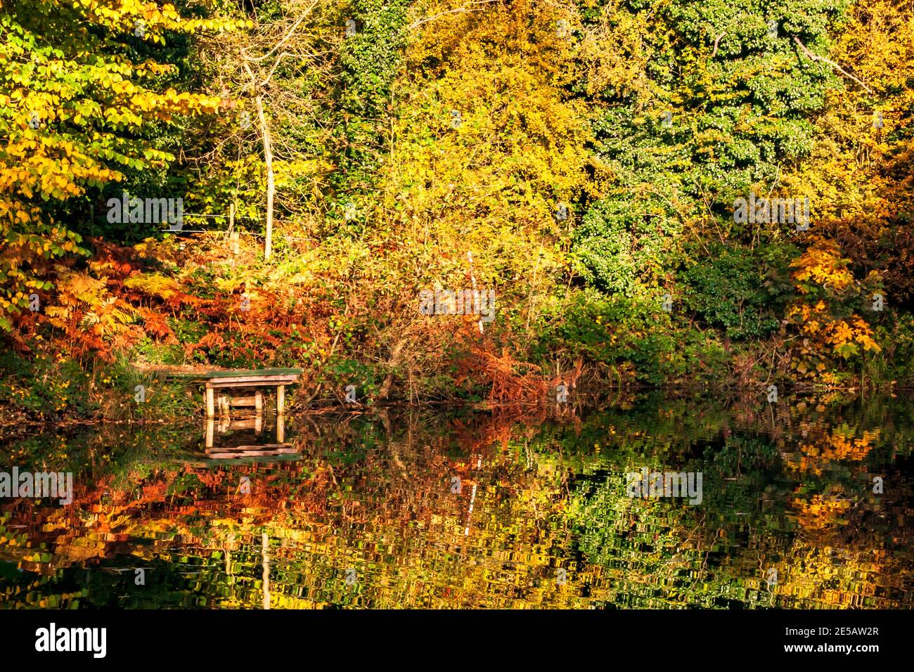 The beautiful autumn colours in England Stock Photo - Alamy