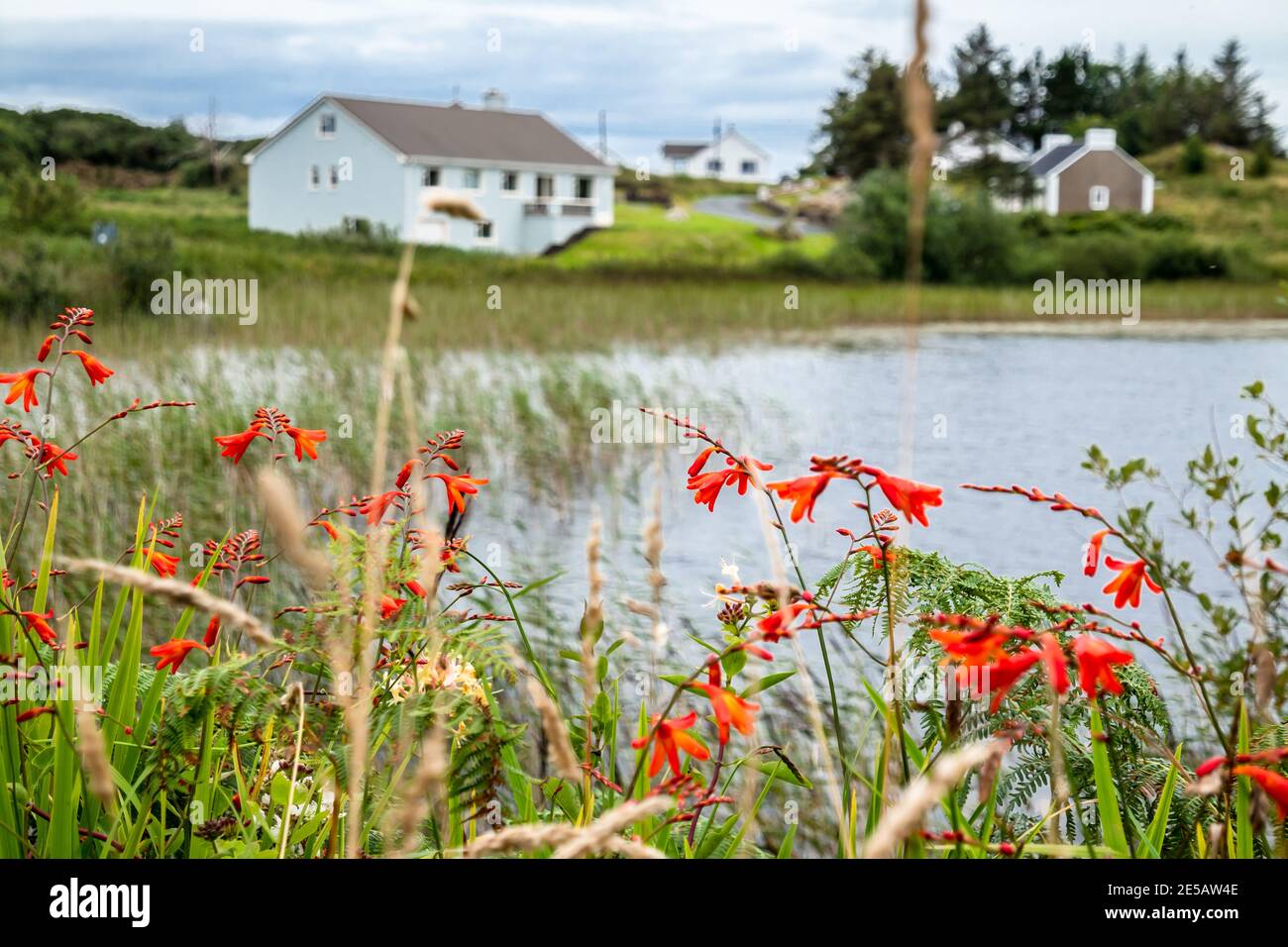 View of the beautiful Lake Namanlagh close to Bonny Glen in County ...