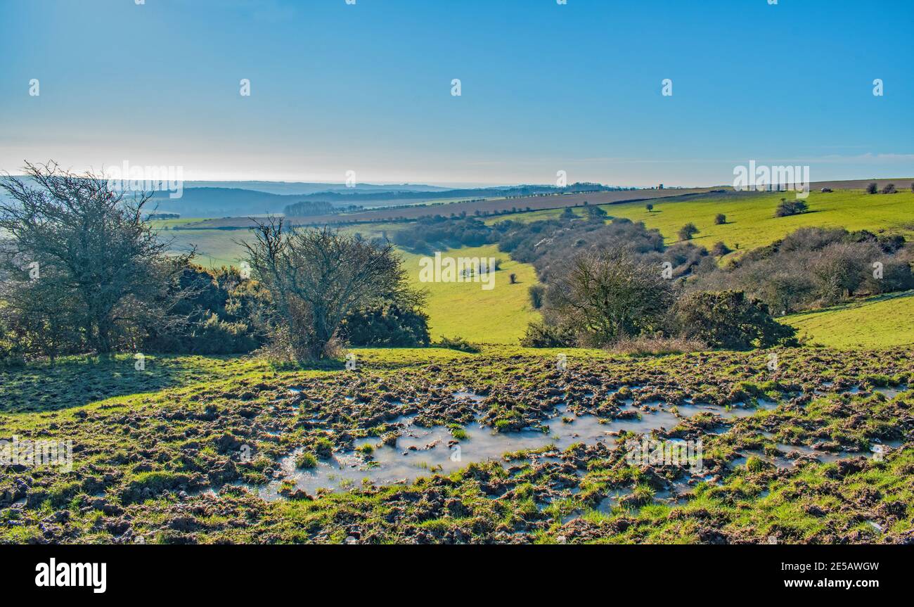 Morning sun reflects on the frozen muddy pools on Ditchling Beacon on a ...