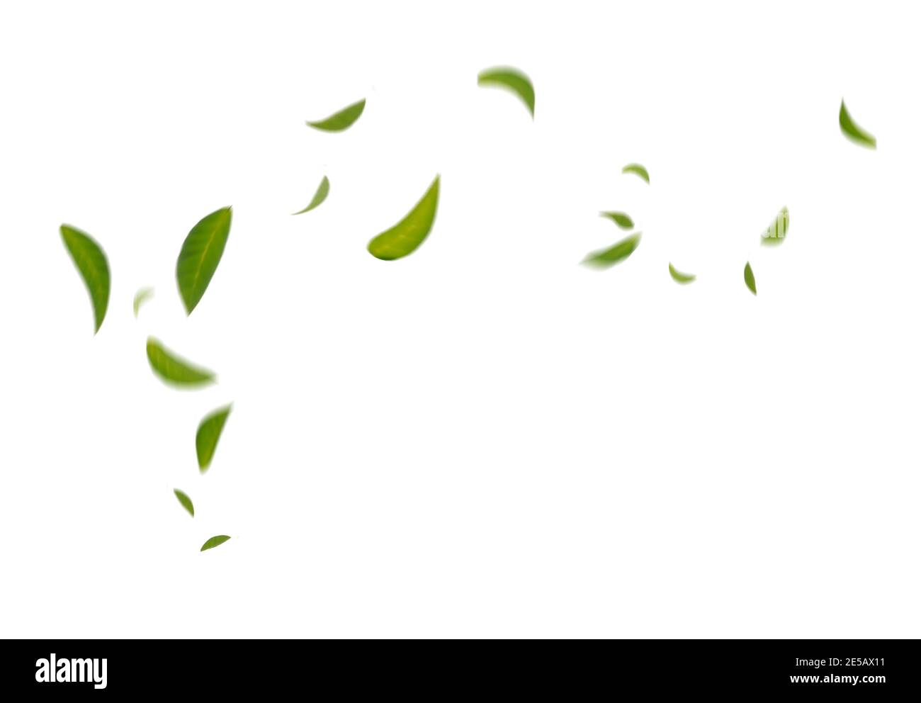 Green Floating Leaves Flying Leaves Green Leaf Dancing, Air Purifier ...