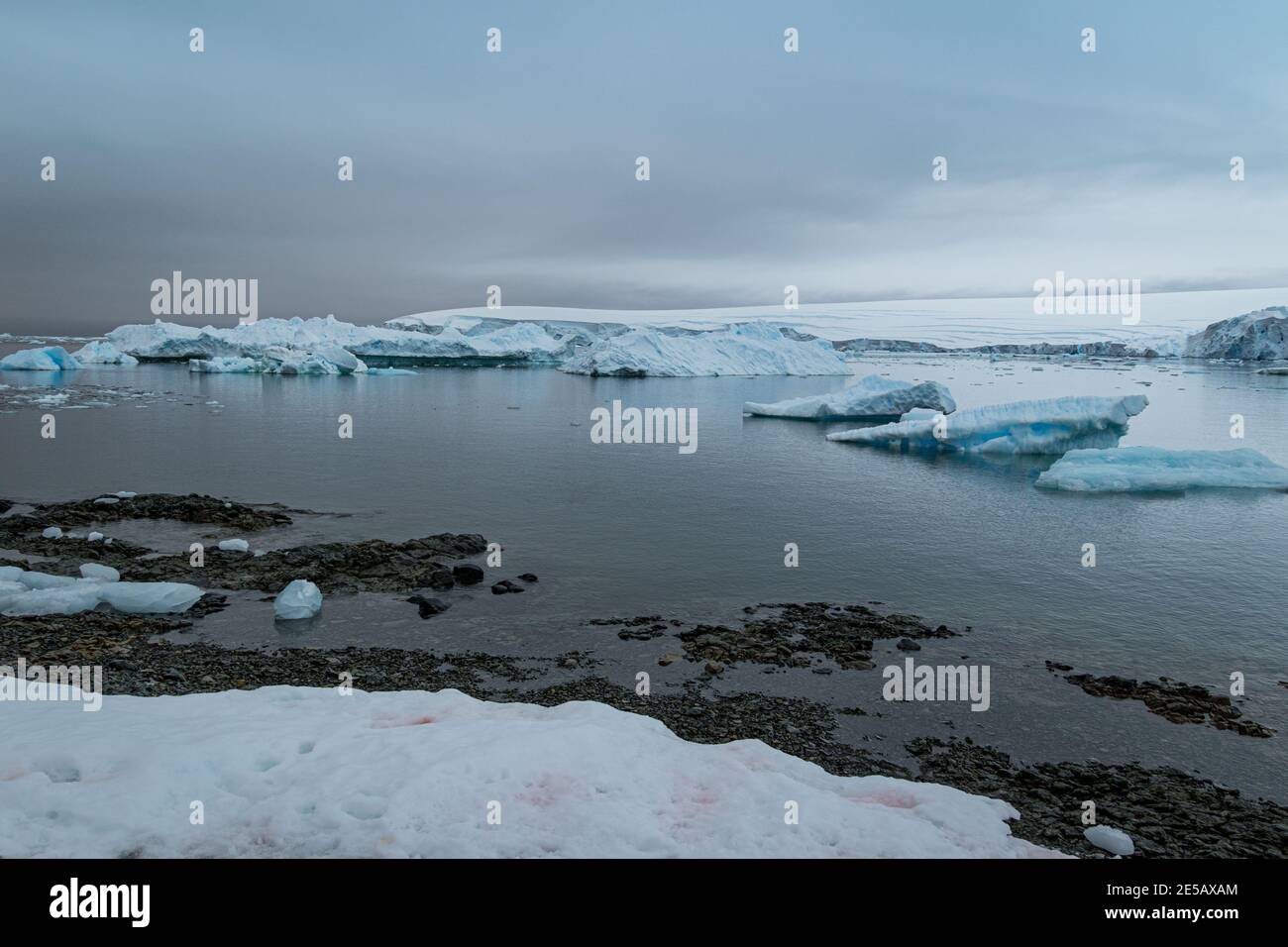 Icebergs and glaciers from Prospect Point, Antarctica Stock Photo - Alamy