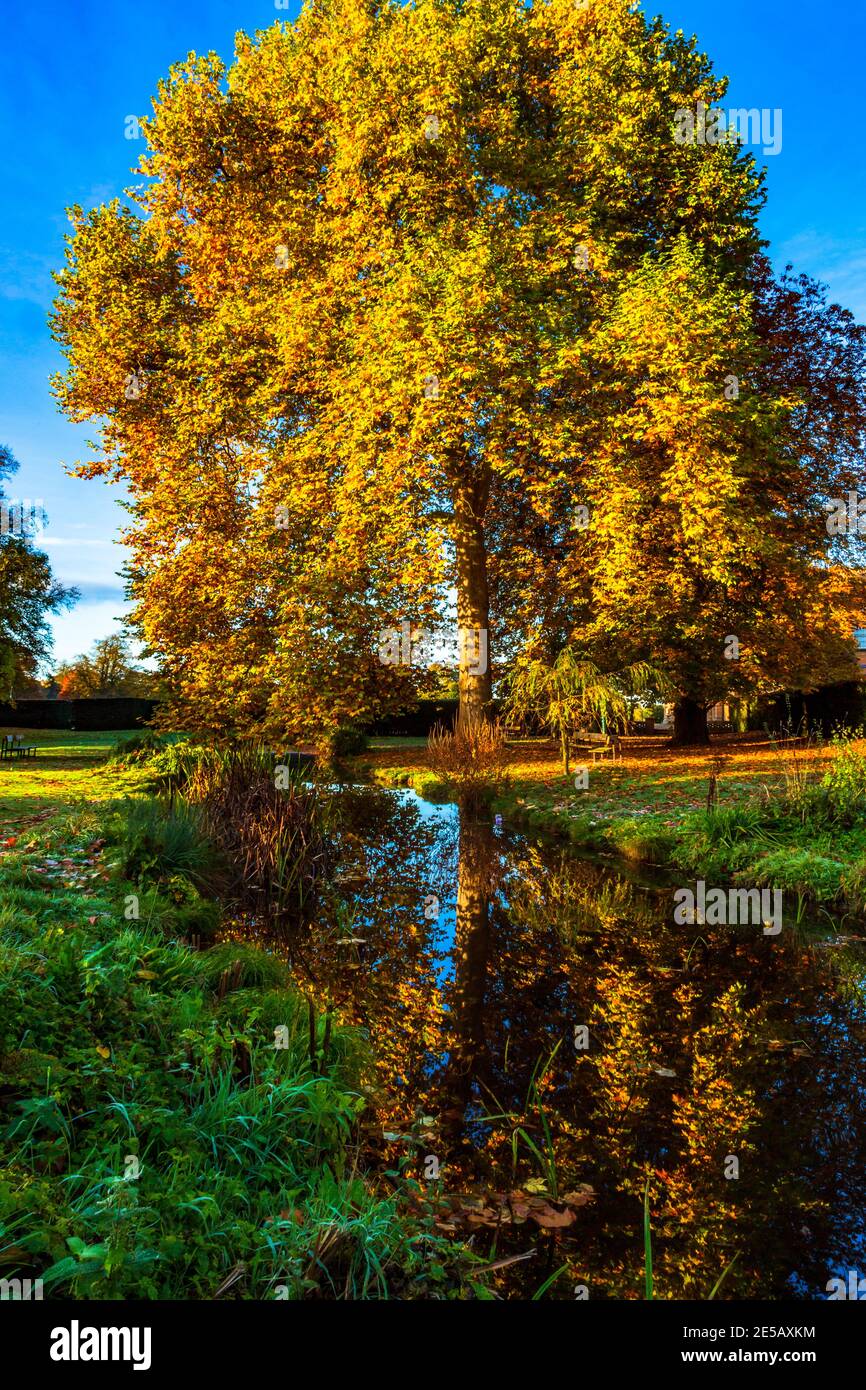 The beautiful autumn colours in England Stock Photo - Alamy