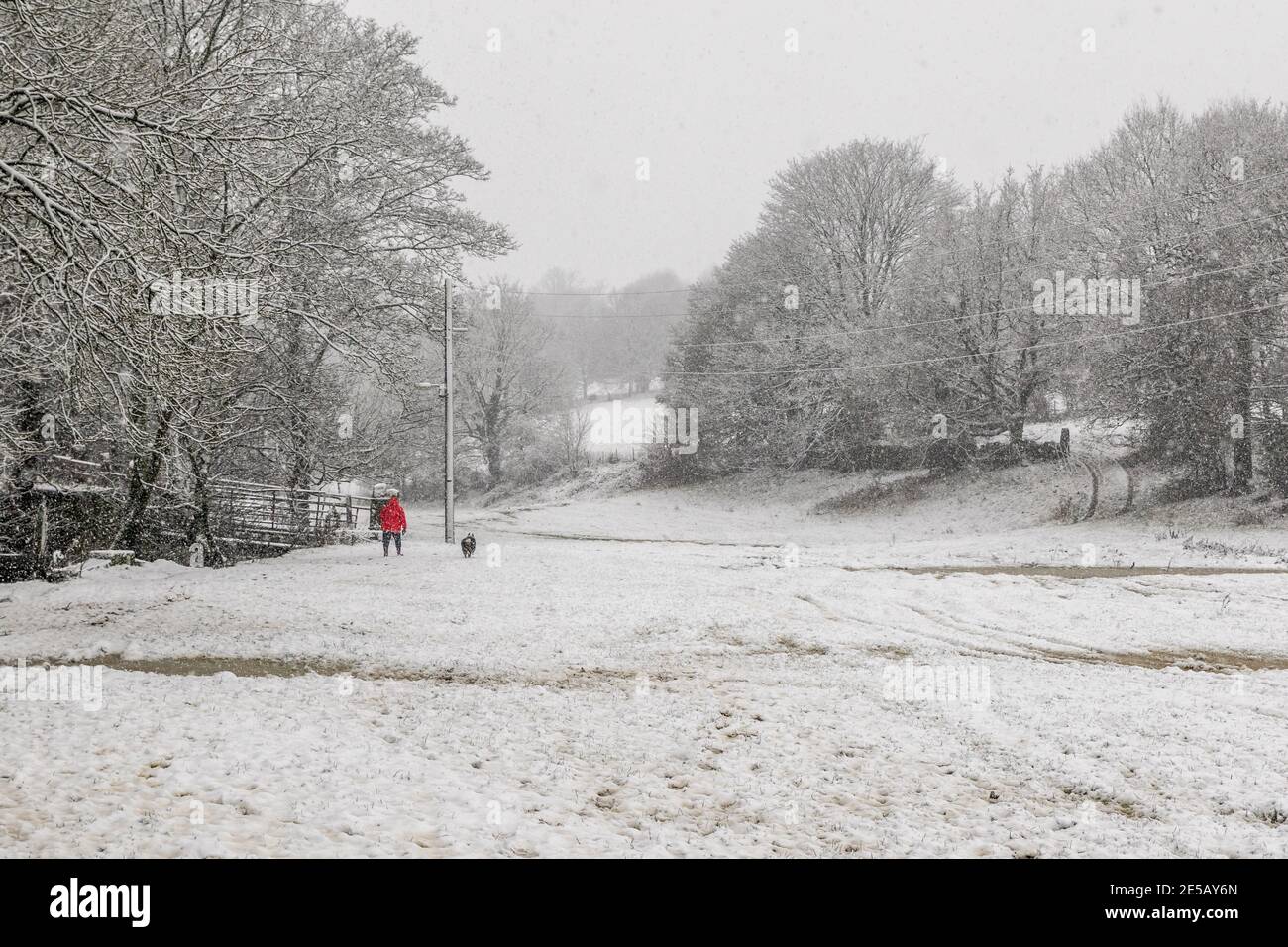 Snow covers the landscape, Yorkshire UK Stock Photo - Alamy